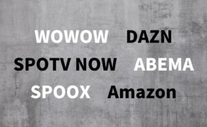 サッカー動画配信サブスクおすすめ7選 WOWOW・ABEMA | STADIO